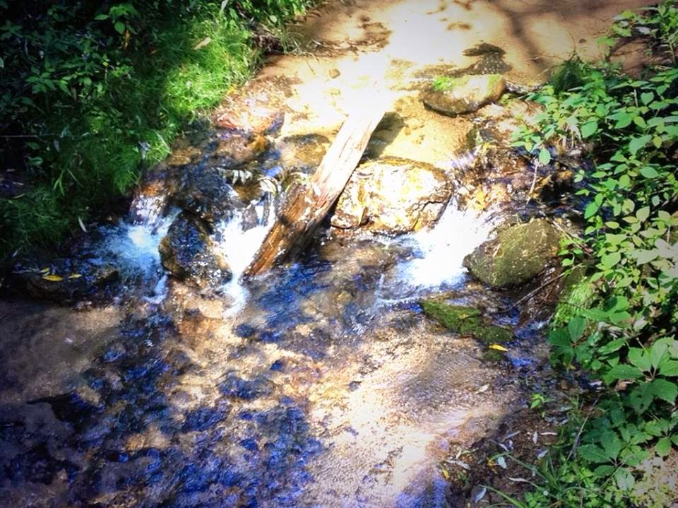 Creeks to Peaks: Afton State Park: Minnesota/Wisconsin Border