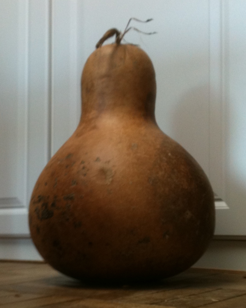 AngelsGourden: Autumn Leaf Gourd Bowl Tutorial