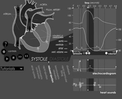 TELEMEDICINA - CARDIOLOGIA: CICLO CARDIACO