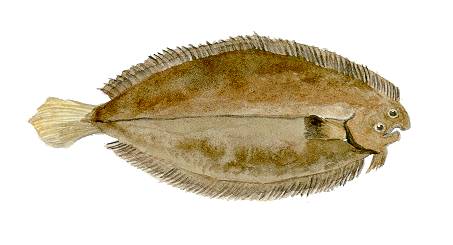 principios gastronomia