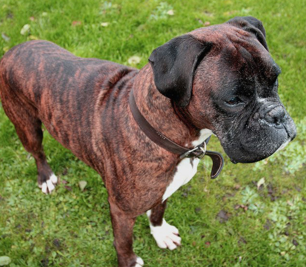 ideadestroyingmuros: febrero 2012