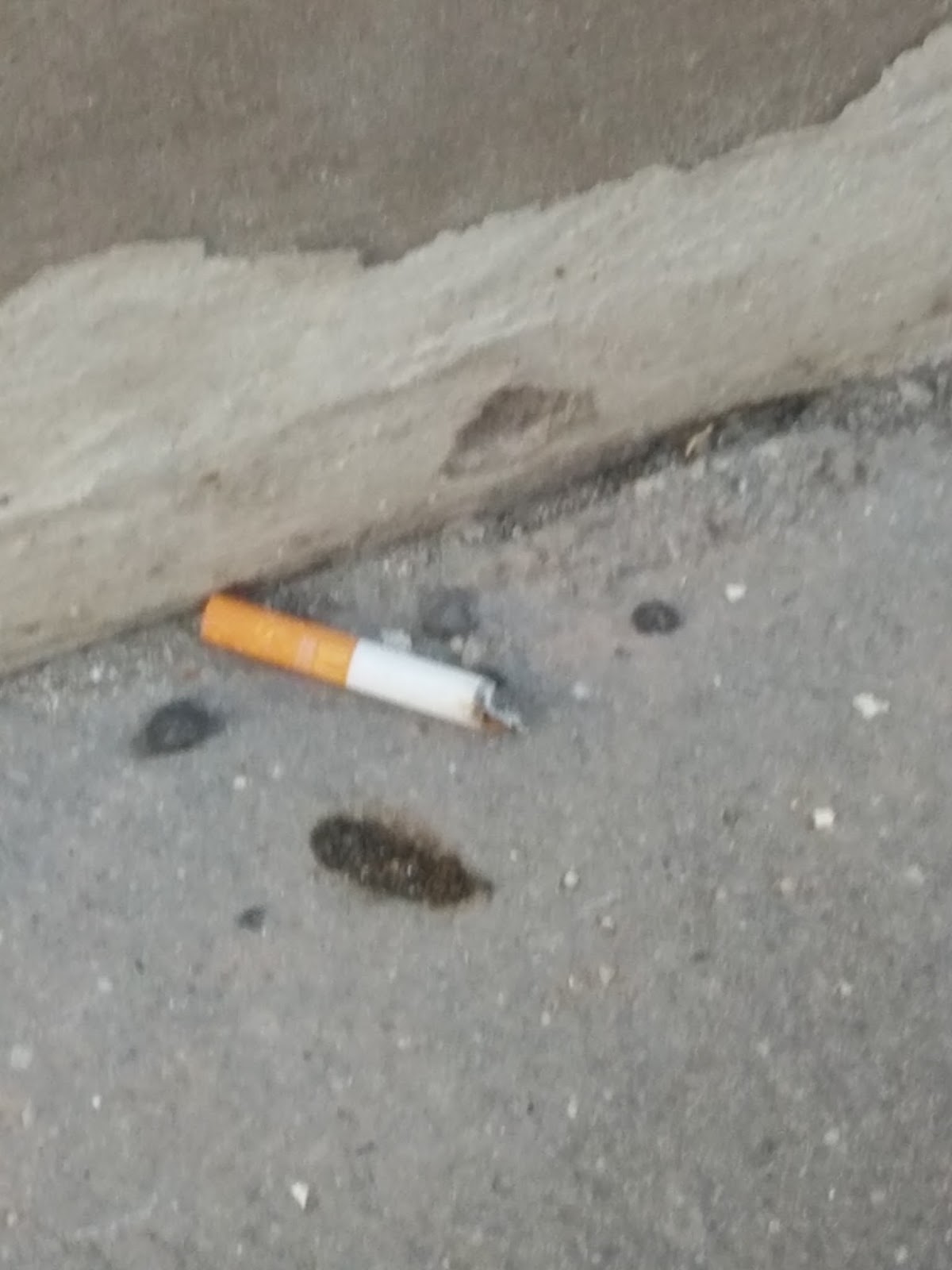 fasten seat belts: Ach Arthur 136 ja wie tickt denn der?