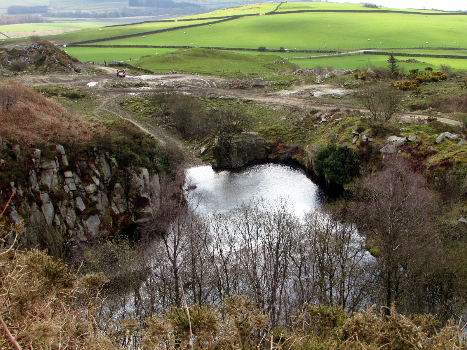 The Glebe Blog: Creetown to Kirkmabreck Quarry - Wigtown Walks and Talks