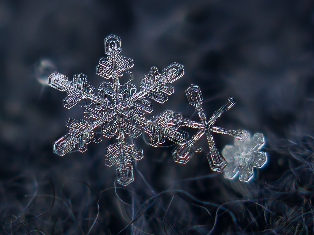 Pro-Turf Landscaping: How Snowflakes Form