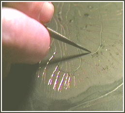 Zach Demoff | Middle School Visual Arts Educator: Hard Line Etching