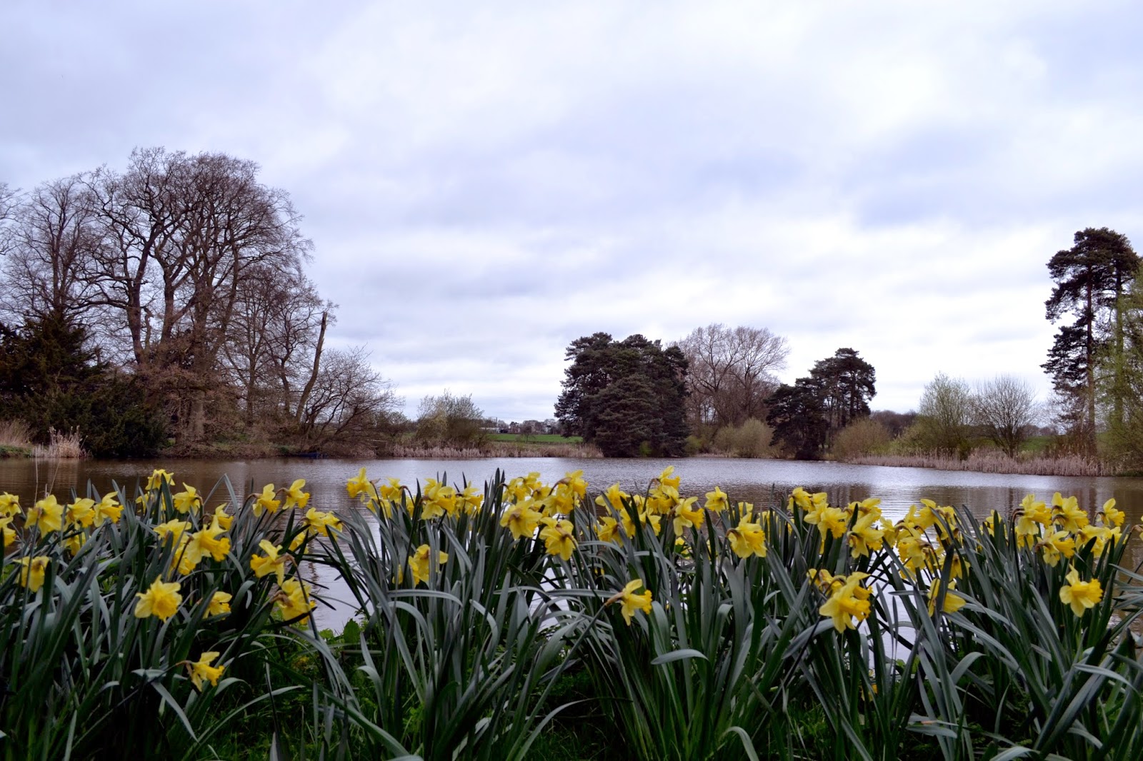 Today Around Coventry: More From Newnham Paddox, Monks Kirby
