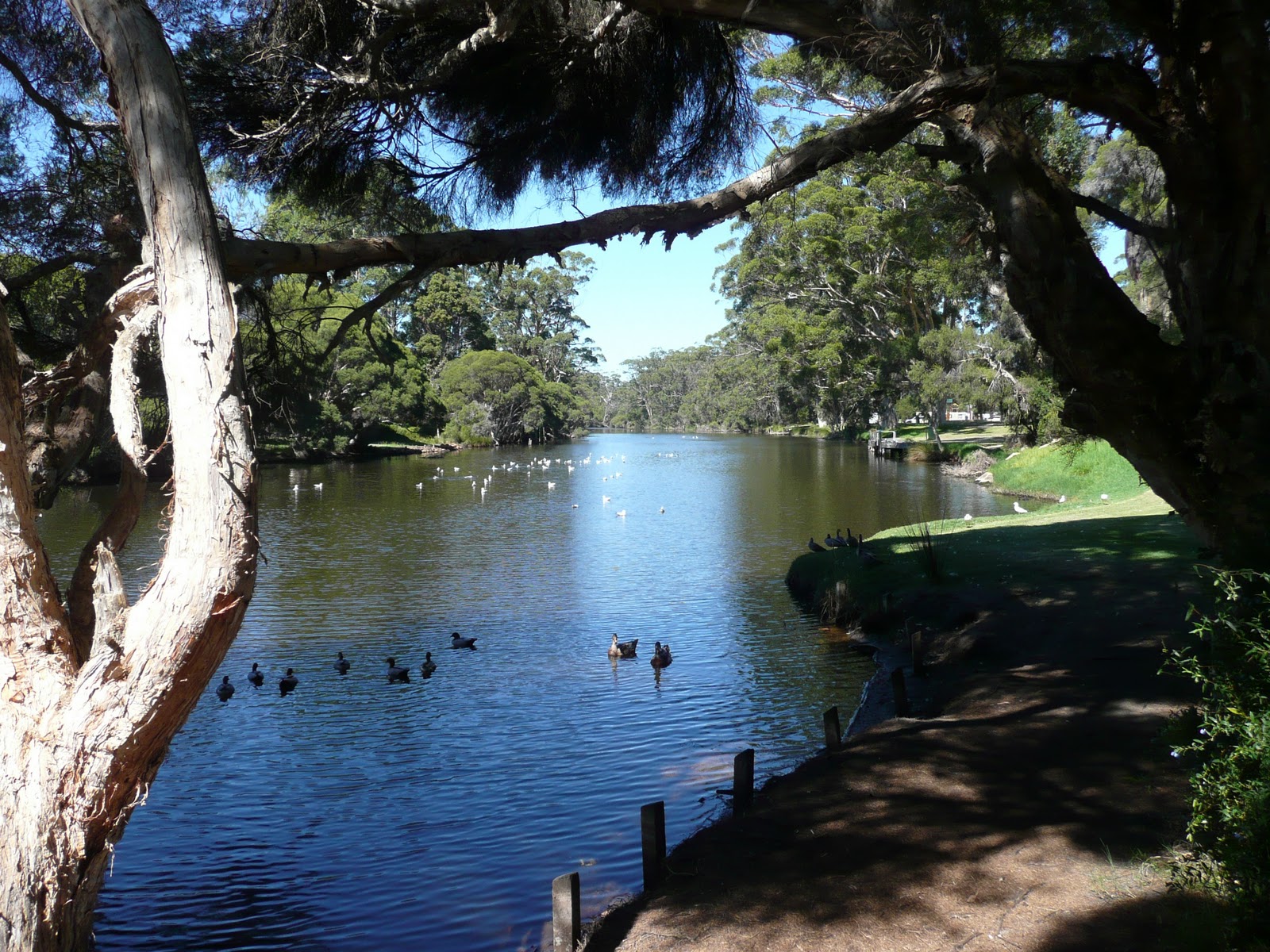 Nele & Andrew Around Oz: Parry Beach Campground, WA (between Denmark ...