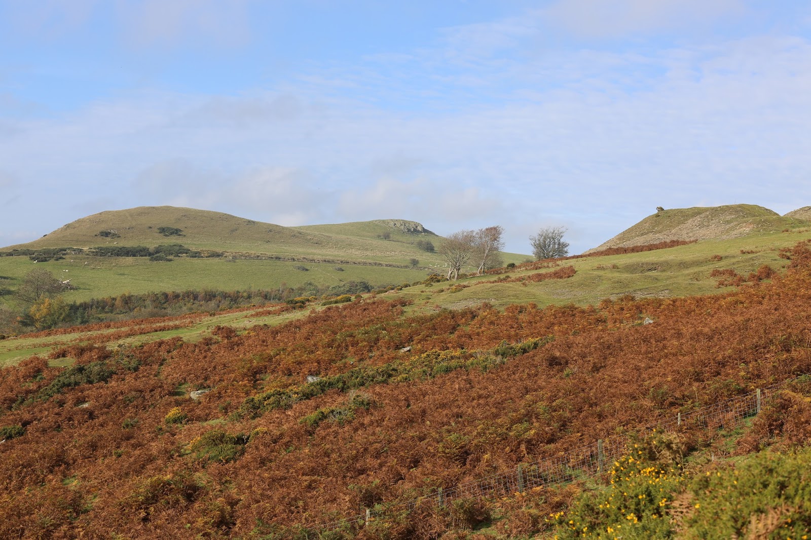 crazy cambridge mum: Corndon Hill/ Mitchell’s Fold stone circle and ...