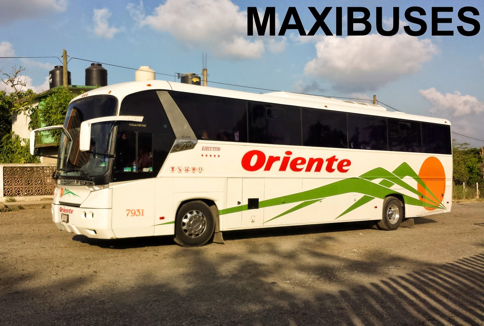 MAXIBUSES: OMNIBUS DE ORIENTE