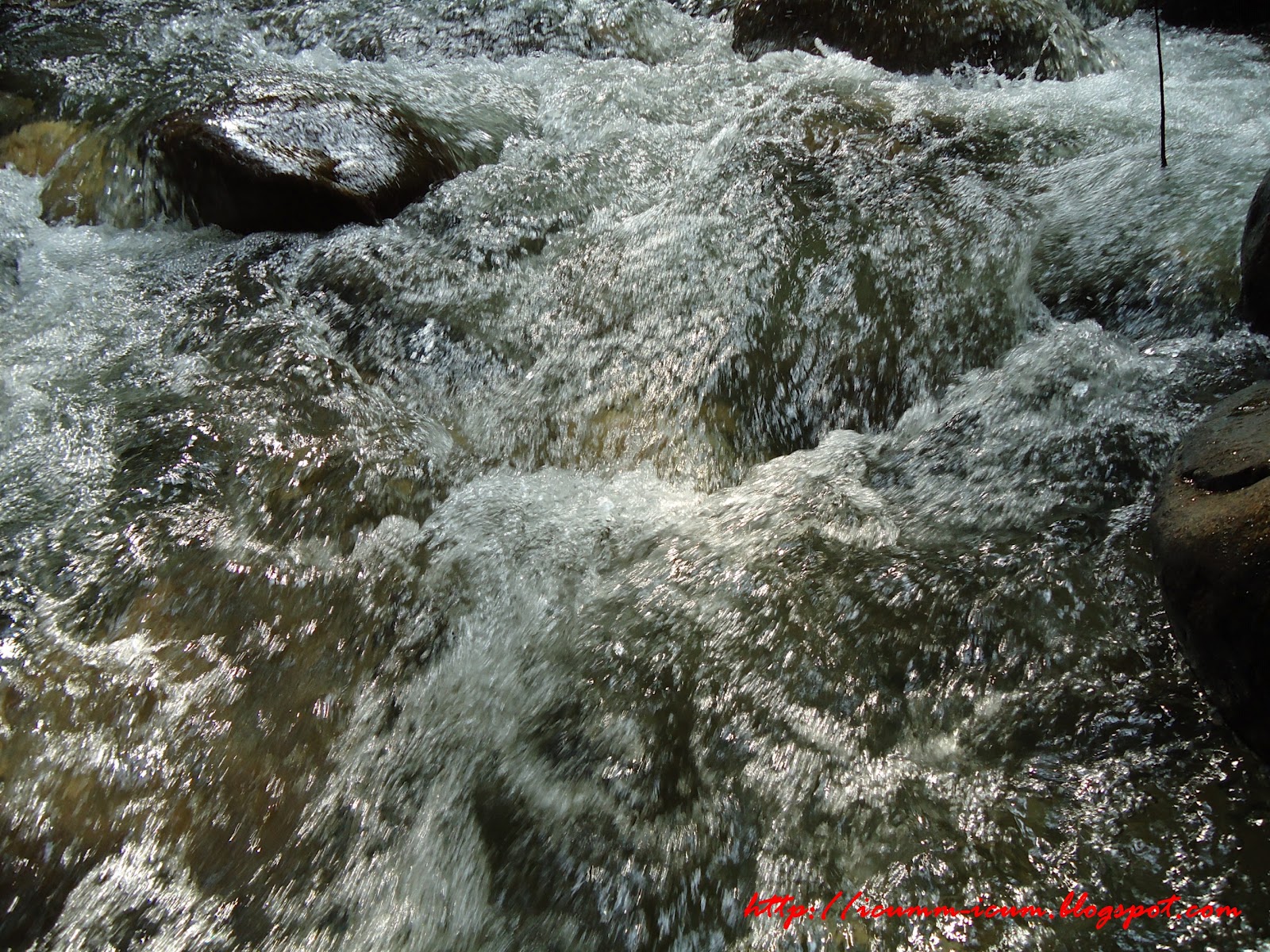 Cik Pepatung: 5 Perhentian Bakal menggantikan cerita 7 Perhentian