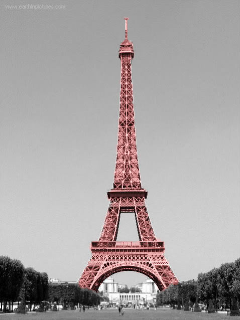 Pretty Pink Paris - Purple Chocolat Home