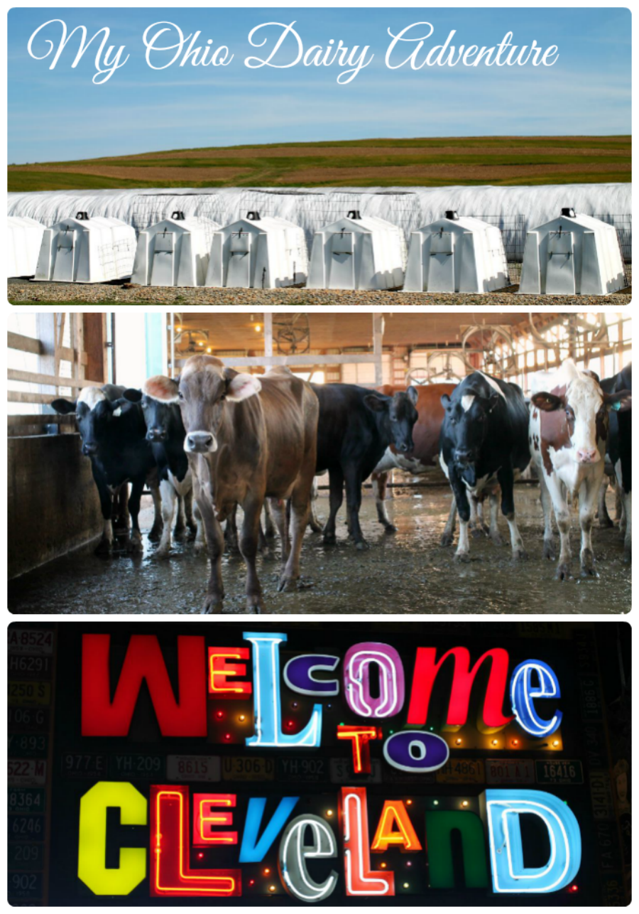 Frugal Foodie Mama: September 2015