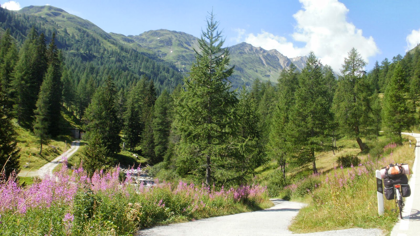 EXCURSII CU BICICLETA: Elvetia