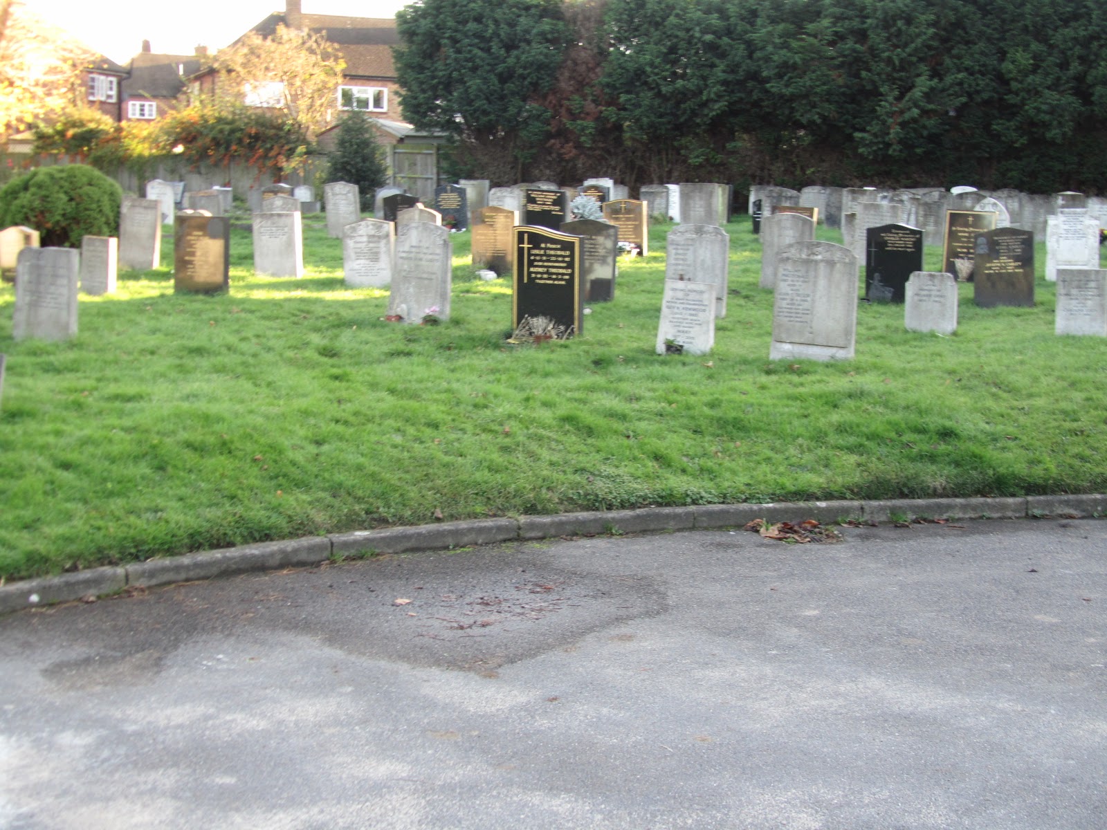 M.E.S.S. Media: Photos of A Graveyard (Location)