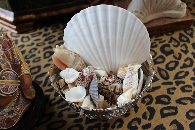 Designs by Pinky: Adding Shells to my Decor for Summer