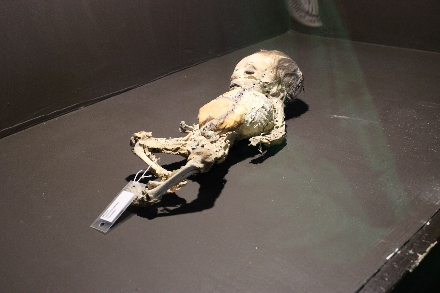 Carlita: The Essential Guanajuato Travel Guide - Discovering Mexico's ...