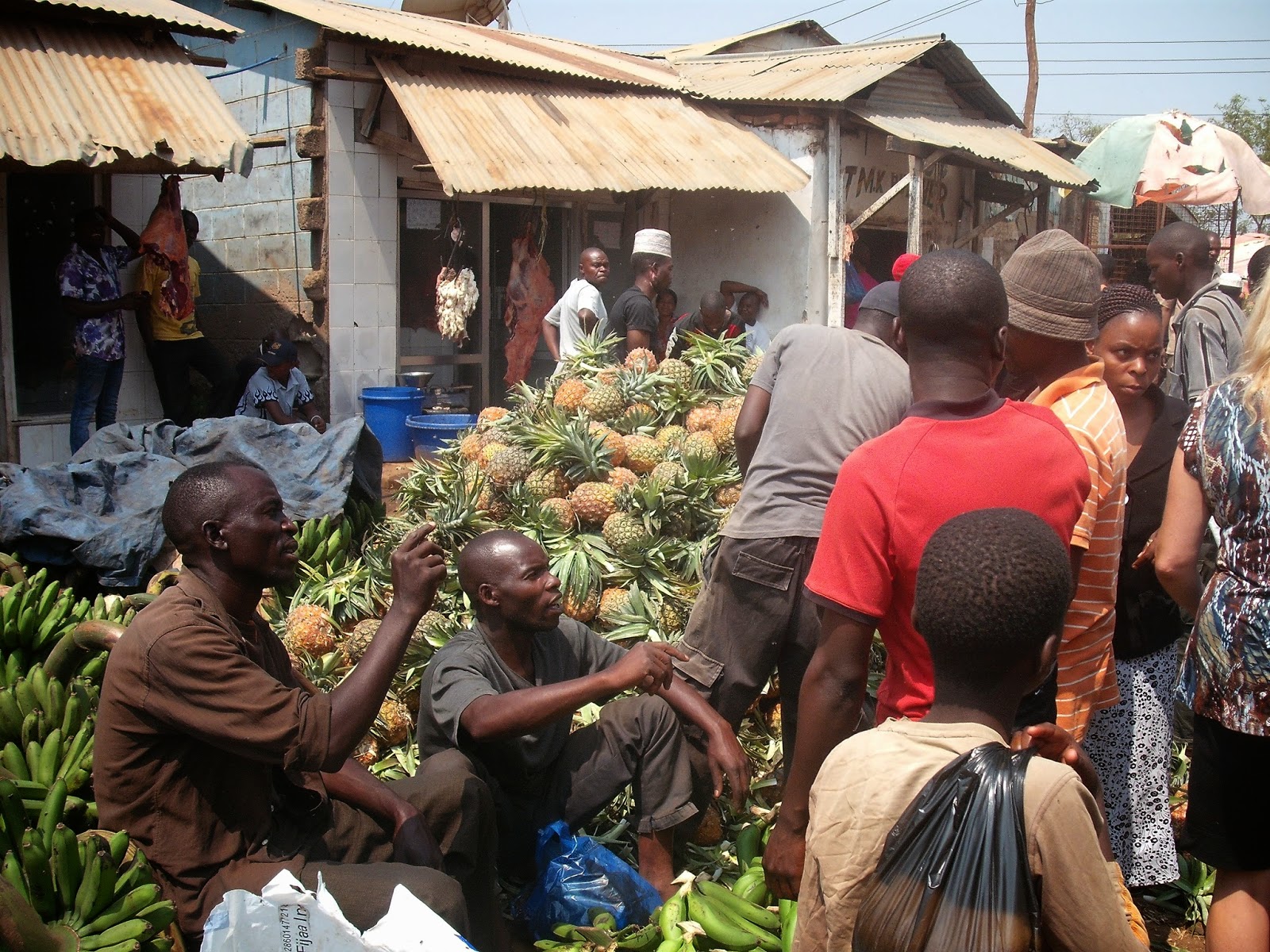 The One Person Project Blog: Kahama, Tanzania