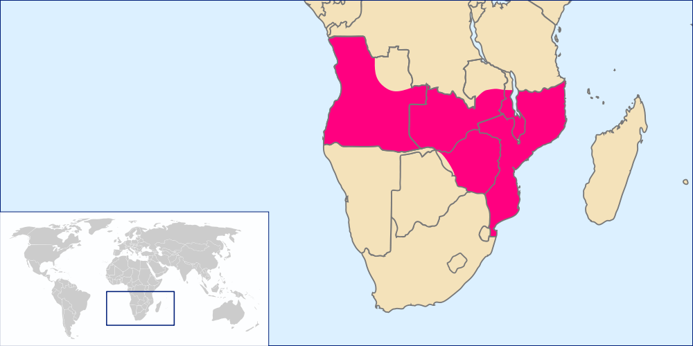 Big Blue 1840-1940: Portuguese Africa