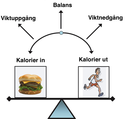 Hjärnfysik - en blogg om hjärnan och löpning: Håll vikten året ut