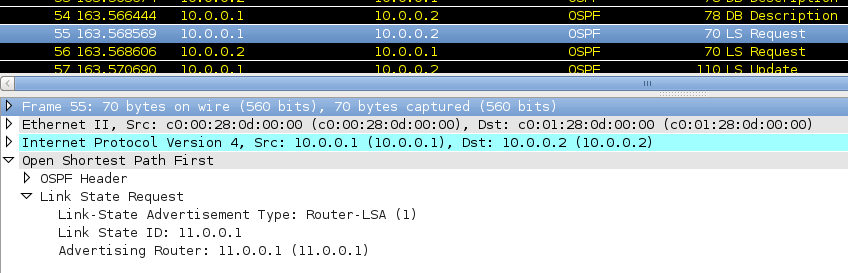Cường: OSPF Packets