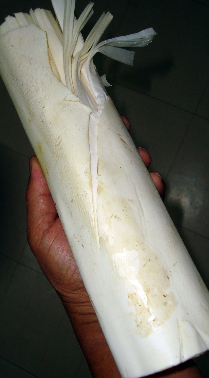 Living with Nature - School on Blog by Dr. Abercio V. Rotor: Harvesting ...