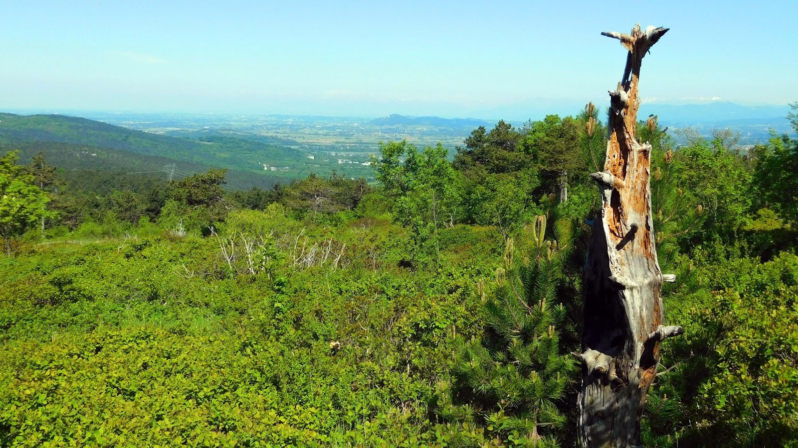 Planine, vrhovi, reke, slapovi...: Po Krasu (Cerje in Fajti hrib)