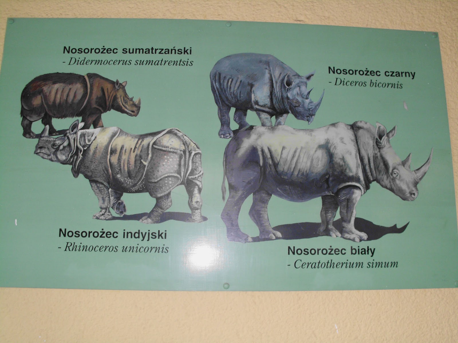 Podróże kształcą...: Wycieczka do Sosnowca i Chorzowa, 02.04.2011 cz. 5