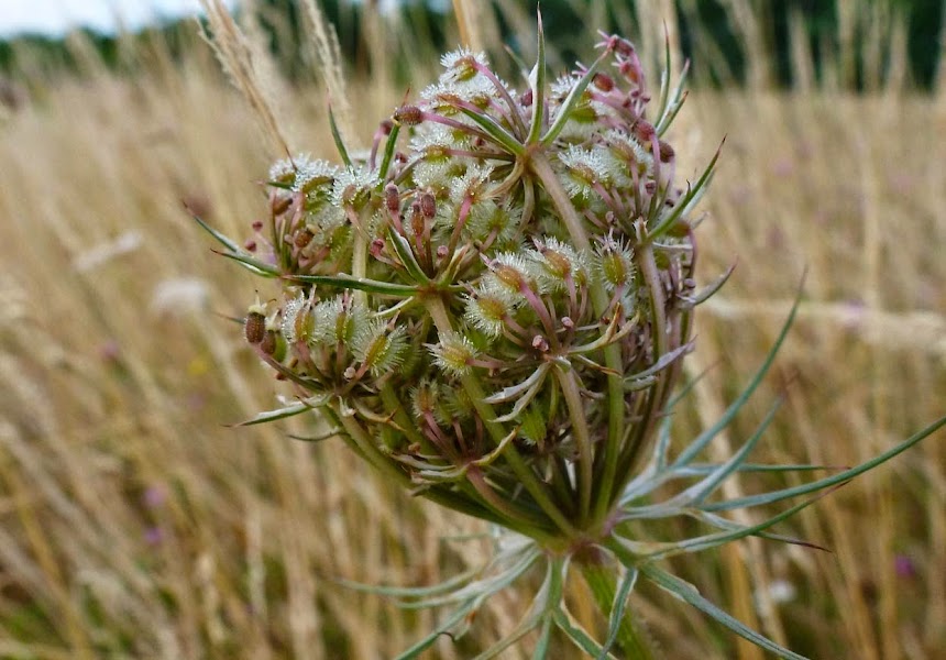 Living the life in Saint-Aignan: Ça caille