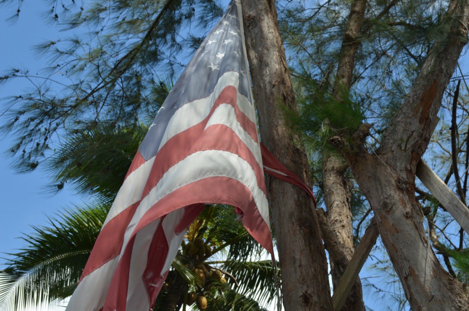 Biodiversity in Saipan - Salvi Villanueva & Patrick Llaban: Susupe Lake!