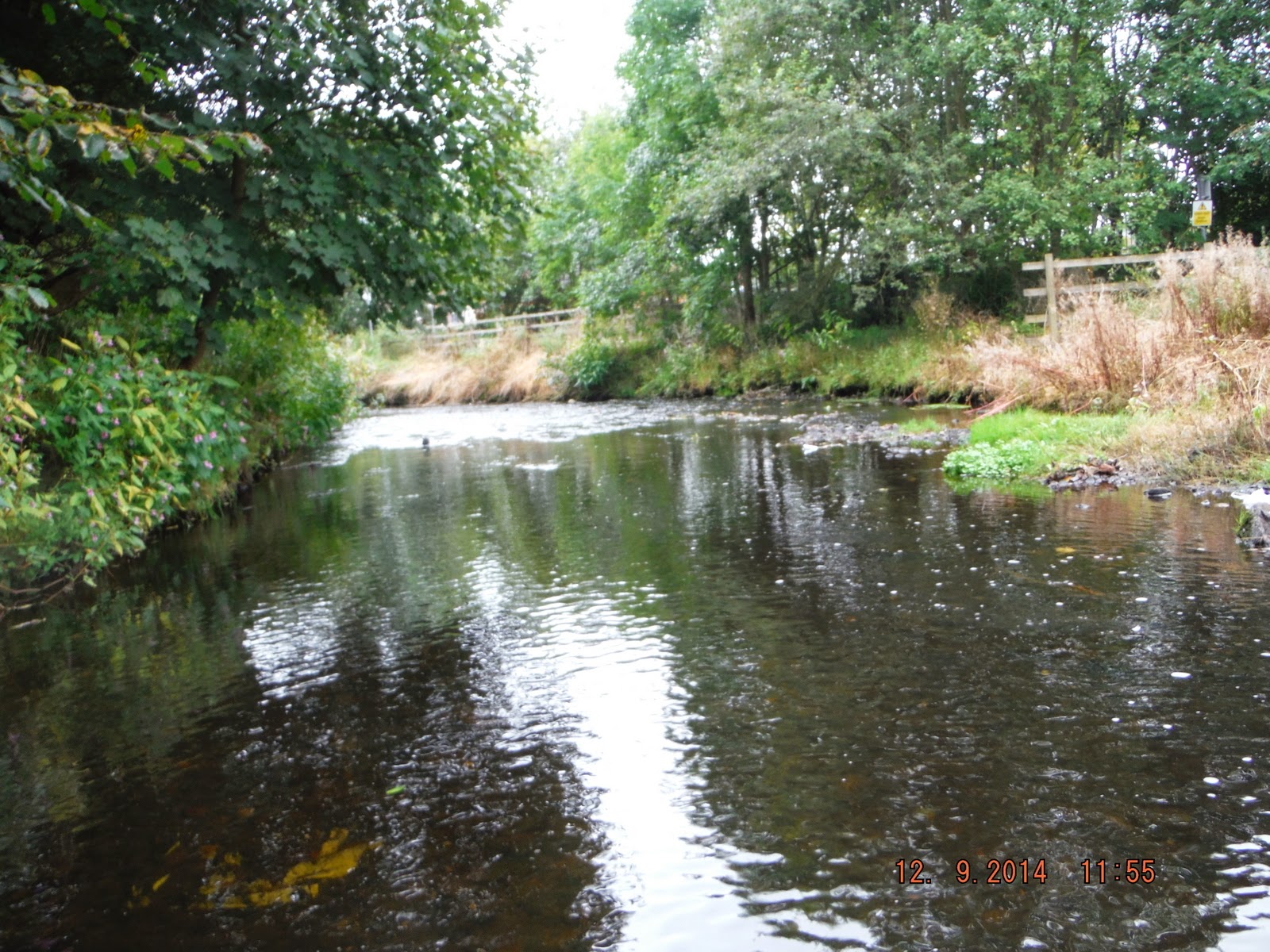 Flyfishing the River Irwell and other Streams.: Eagley Brook 12 Sept ...