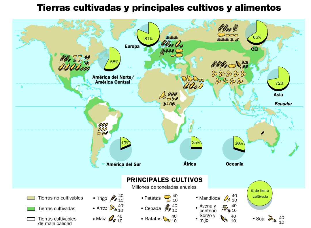 Proyectos De Una Profesora Sector Agrario ¿cómo Se Reparten Los