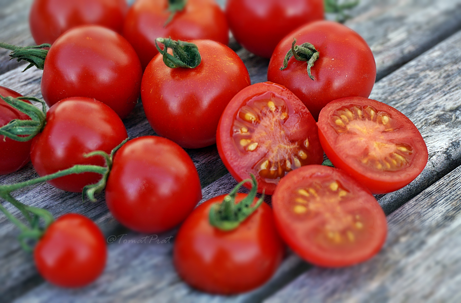 Helenes Tomater: Tumbling Tom Red