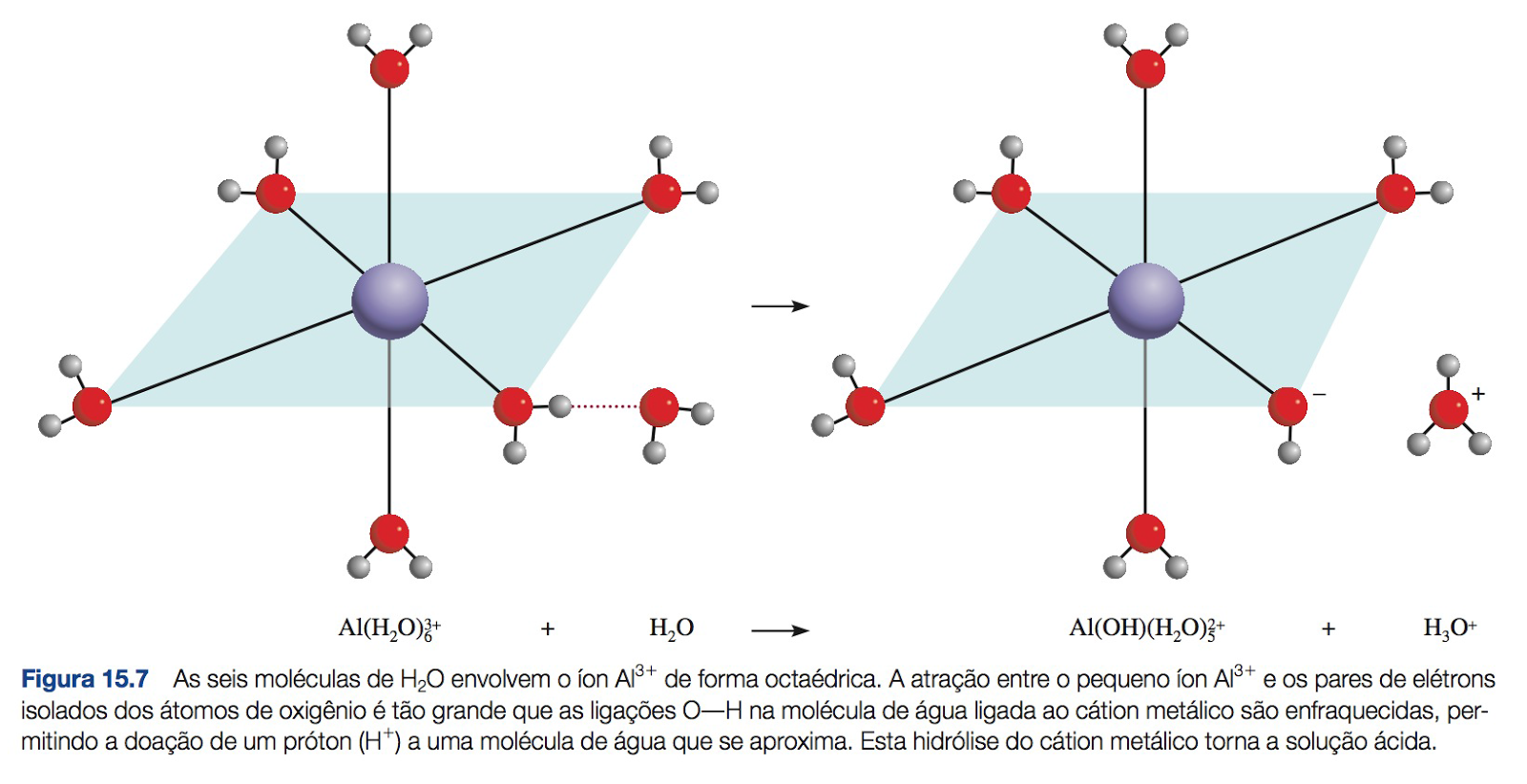 As seis moléculas de H2O envolvem o íon Al3+ de forma octaédrica
