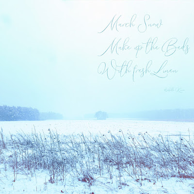 haiku - eine annäherung: March snow