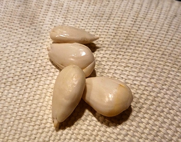 AAA ACCADEMIA AFFAMATI AFFANNATI: Le mandorle fresche