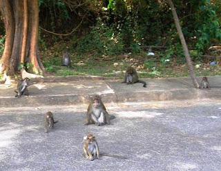 Cruising Past Seventy: OLA: Reliving WWII in the Philippines