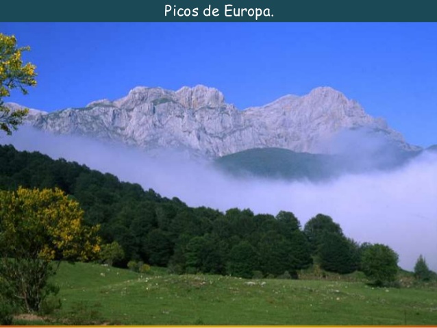 Los Climas de América: Elementos y Factores del Clima y Clasificación ...