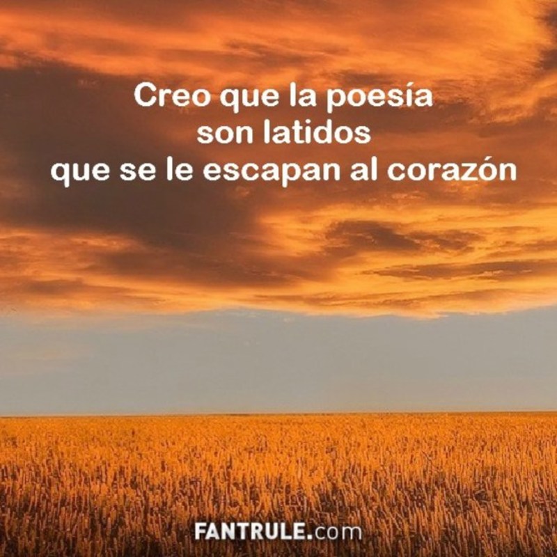 10 Mejores Frases Cortas