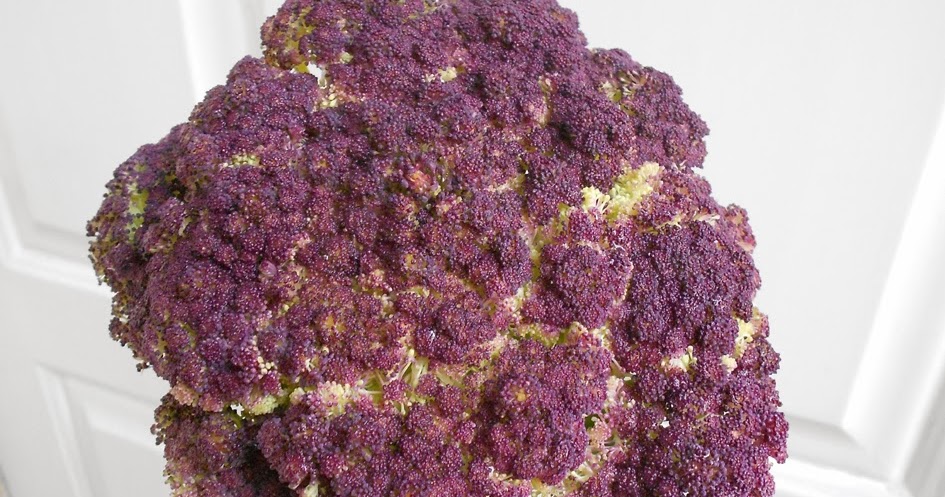 A Vida no Paraíso: Brócolo roxo