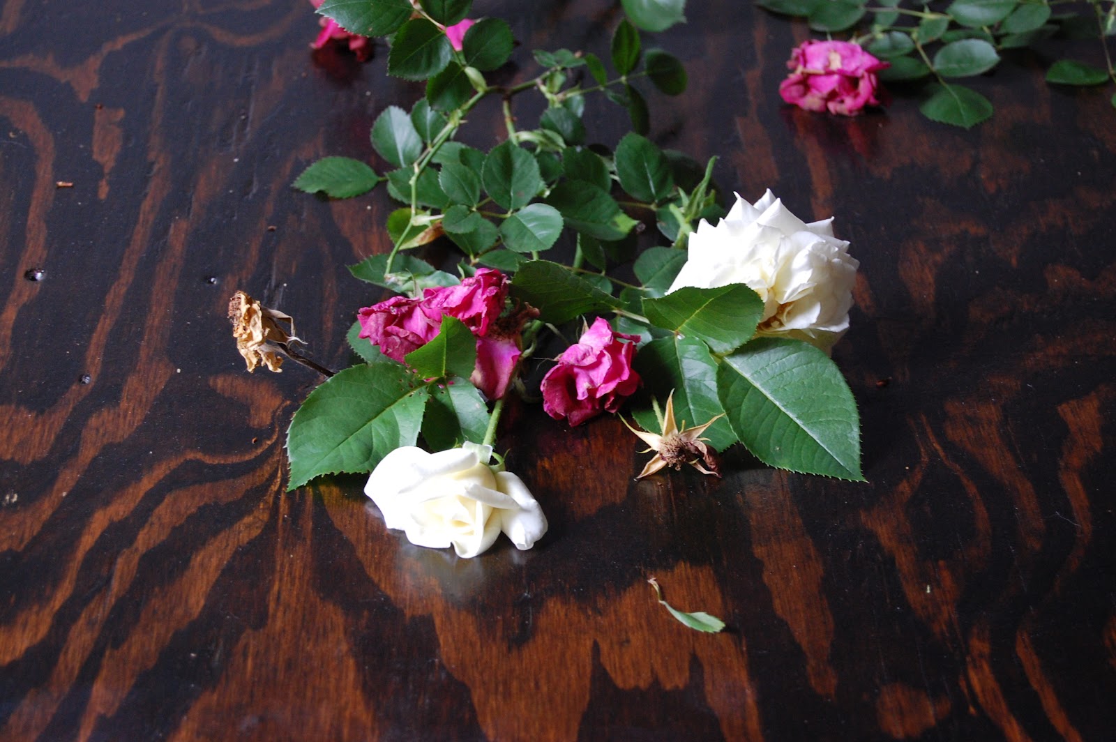 Kerry Dunn Studio: 2 Small rose paintings alla prima