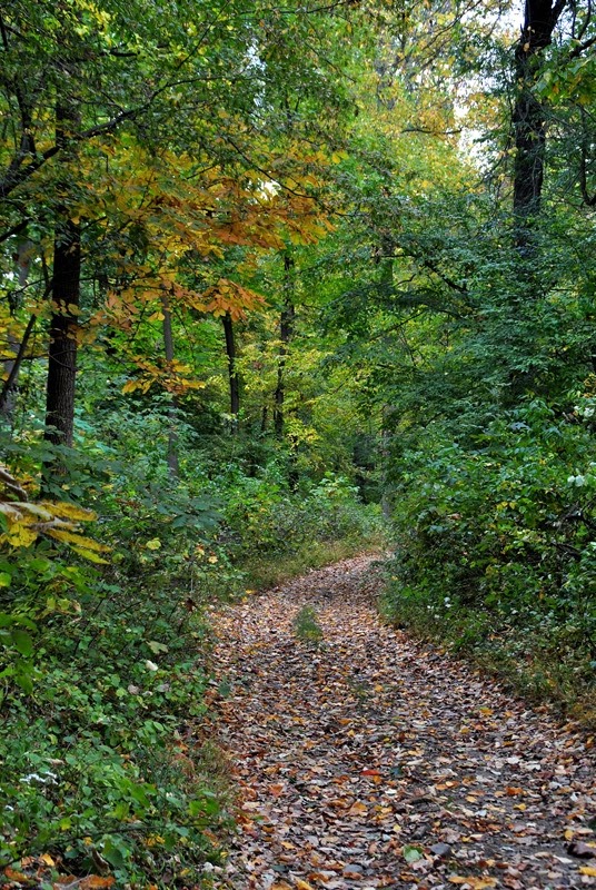 Southeastern PA Hiking: Thompson Trail
