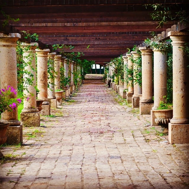 Los MochisTurismo: 10 Cosas que no puedes dejar de hacer en el Parque ...