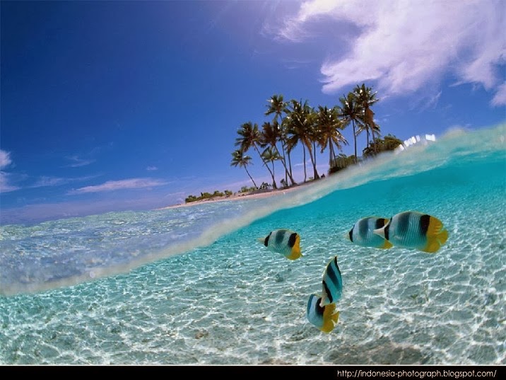 Foto Pemandangan Pantai Terindah di Dunia | kumpulan bokep indonesia, dan cerita porno indonesia ...