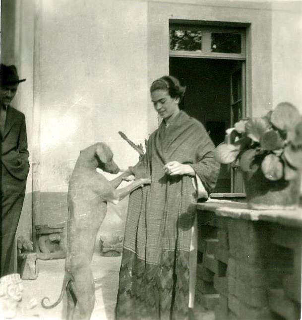 || Itzcuintli || Perro Mesoamericano: FRIDA KAHLO