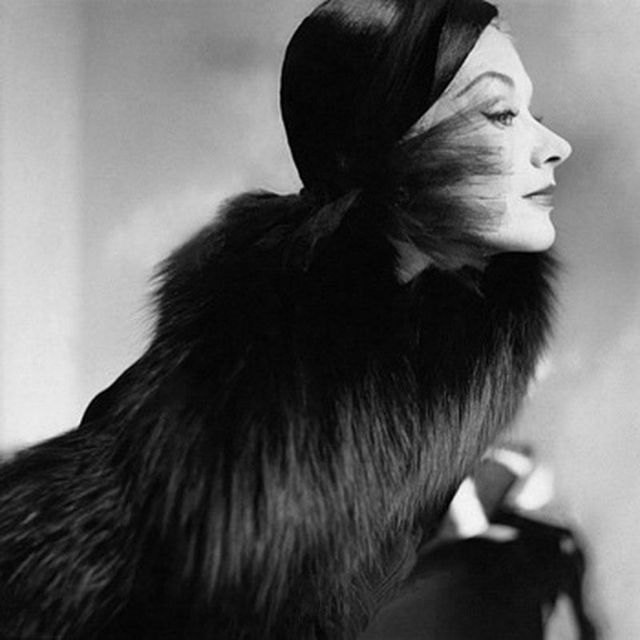 Fashion’s First Supermodel: 30 Stunning Black and White Photos Lisa ...