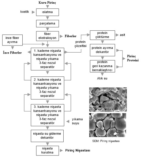 Prof. Dr. Bilsen Beşergil: Biyopolimerler (biopolymers)