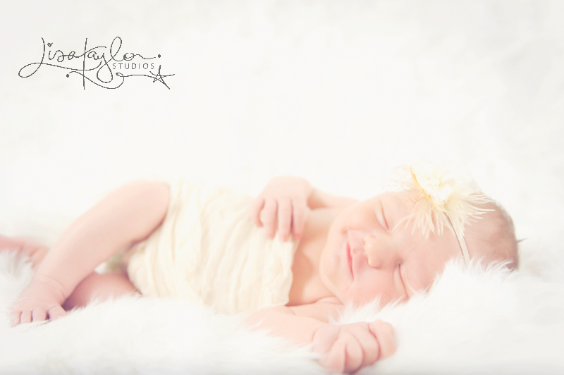 Lisa Taylor Studios | Utah Photographer