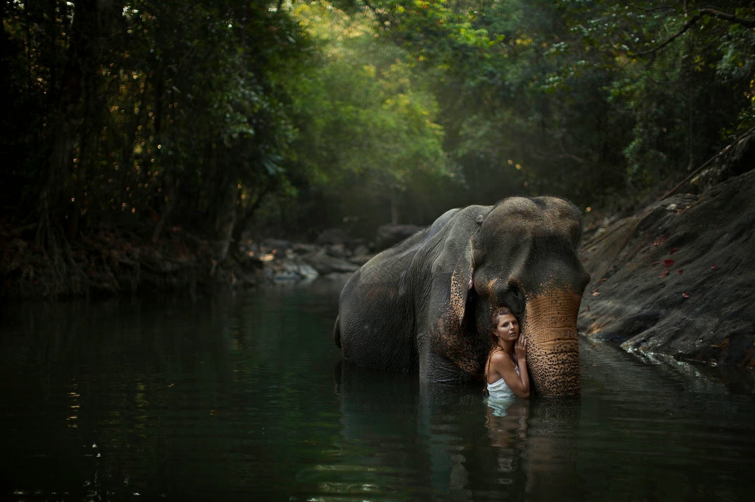 Breathtaking Photographs Of People With Wild Animals Will Leave You ...