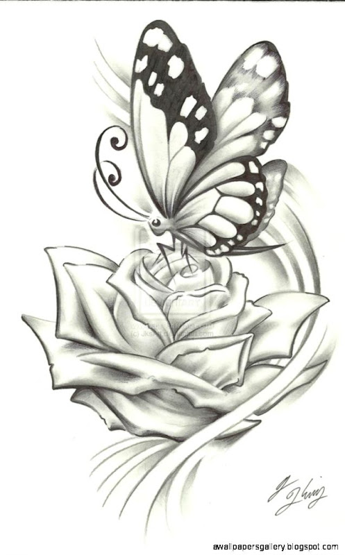 Flower Drawings With Butterflies | Wallpapers Gallery