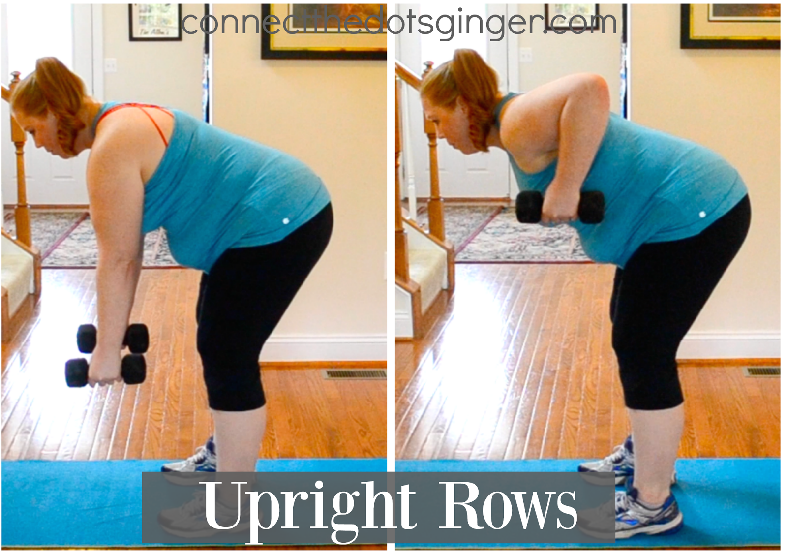 Connect the Dots Ginger | Becky Allen: Plus Size Fitness: Upper Body ...